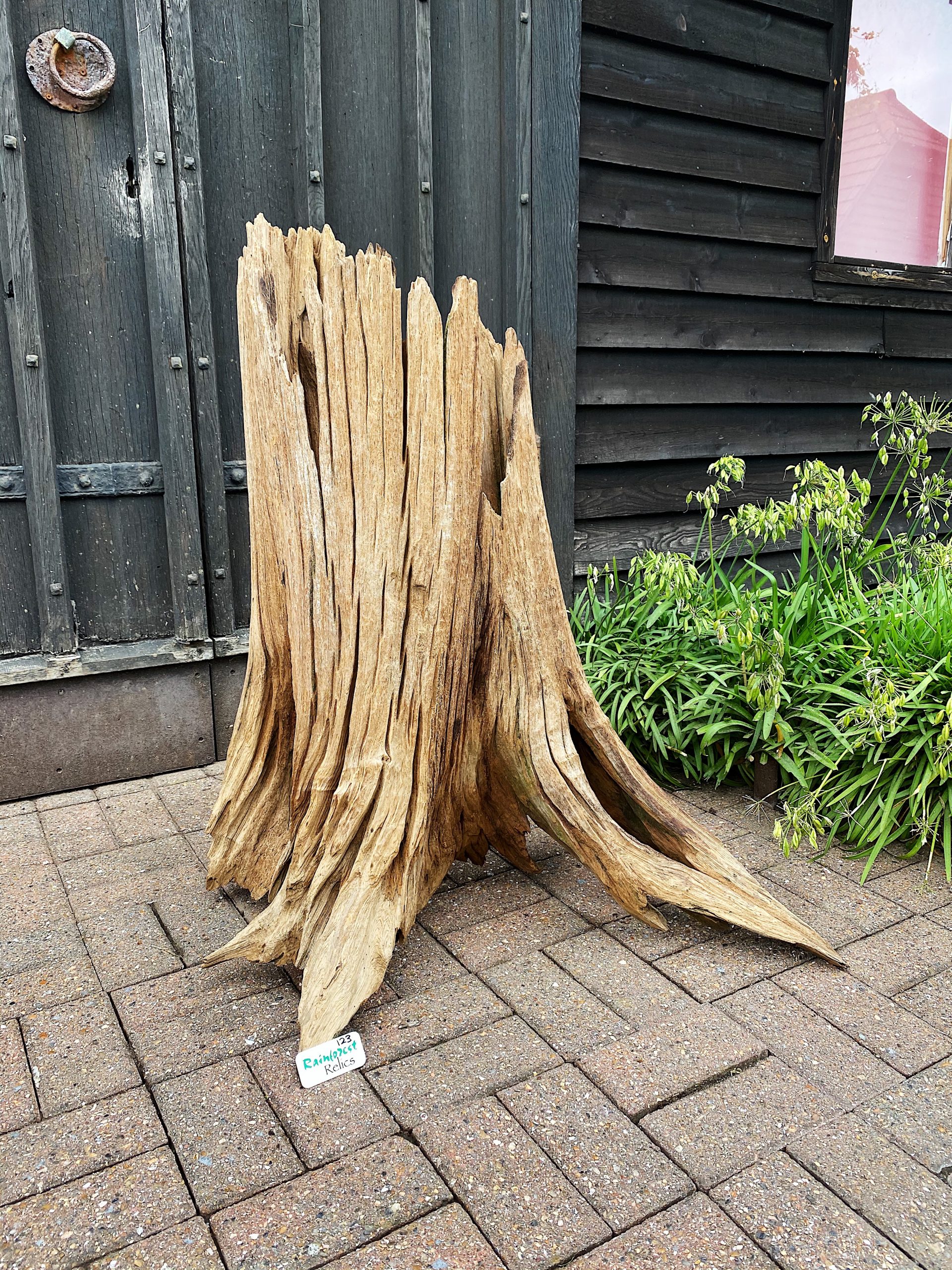 Driftwood Sculpture 123 with Free Shipping | Rainforest Relics