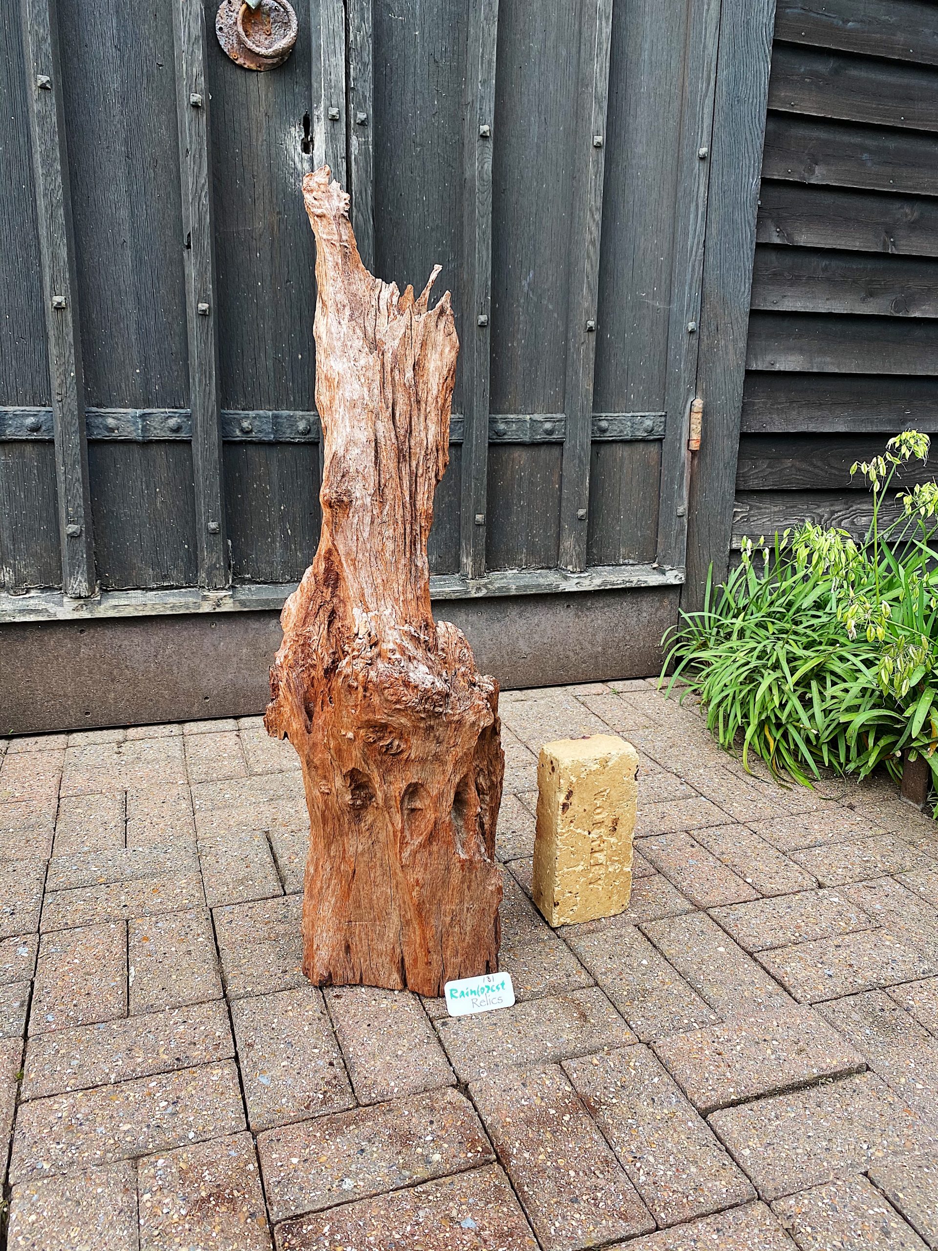 Driftwood Sculpture 131 with Free Shipping | Rainforest Relics