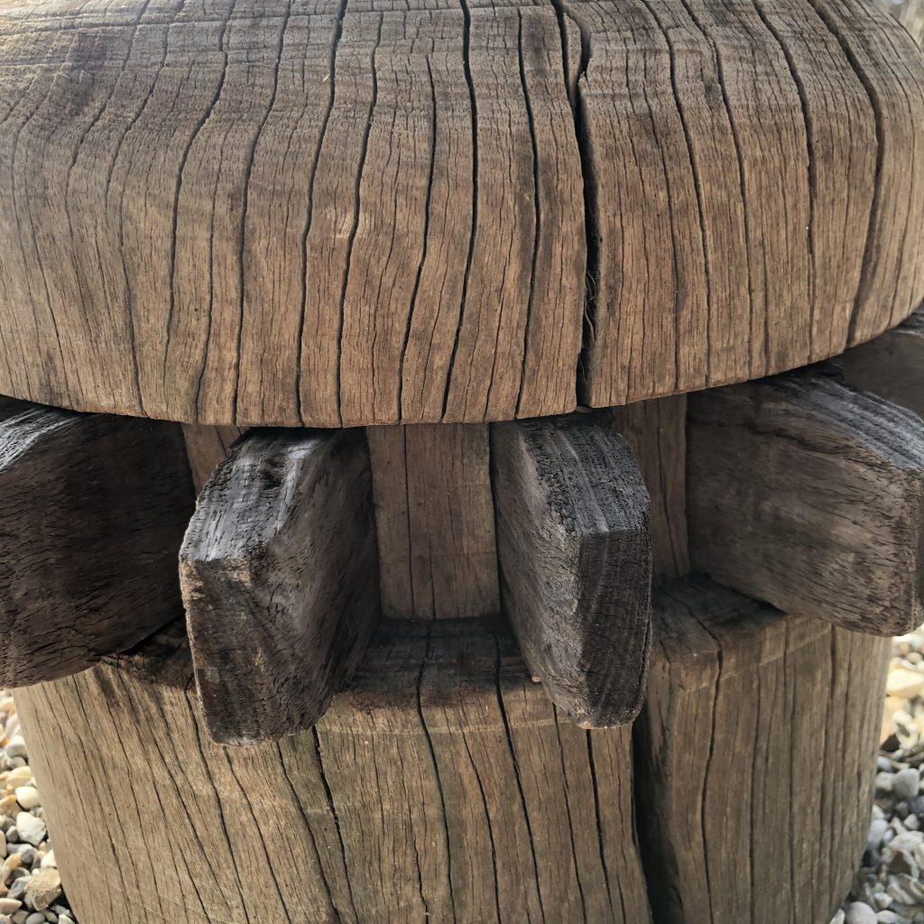 Individual Unique Cogs | Rainforest Relics