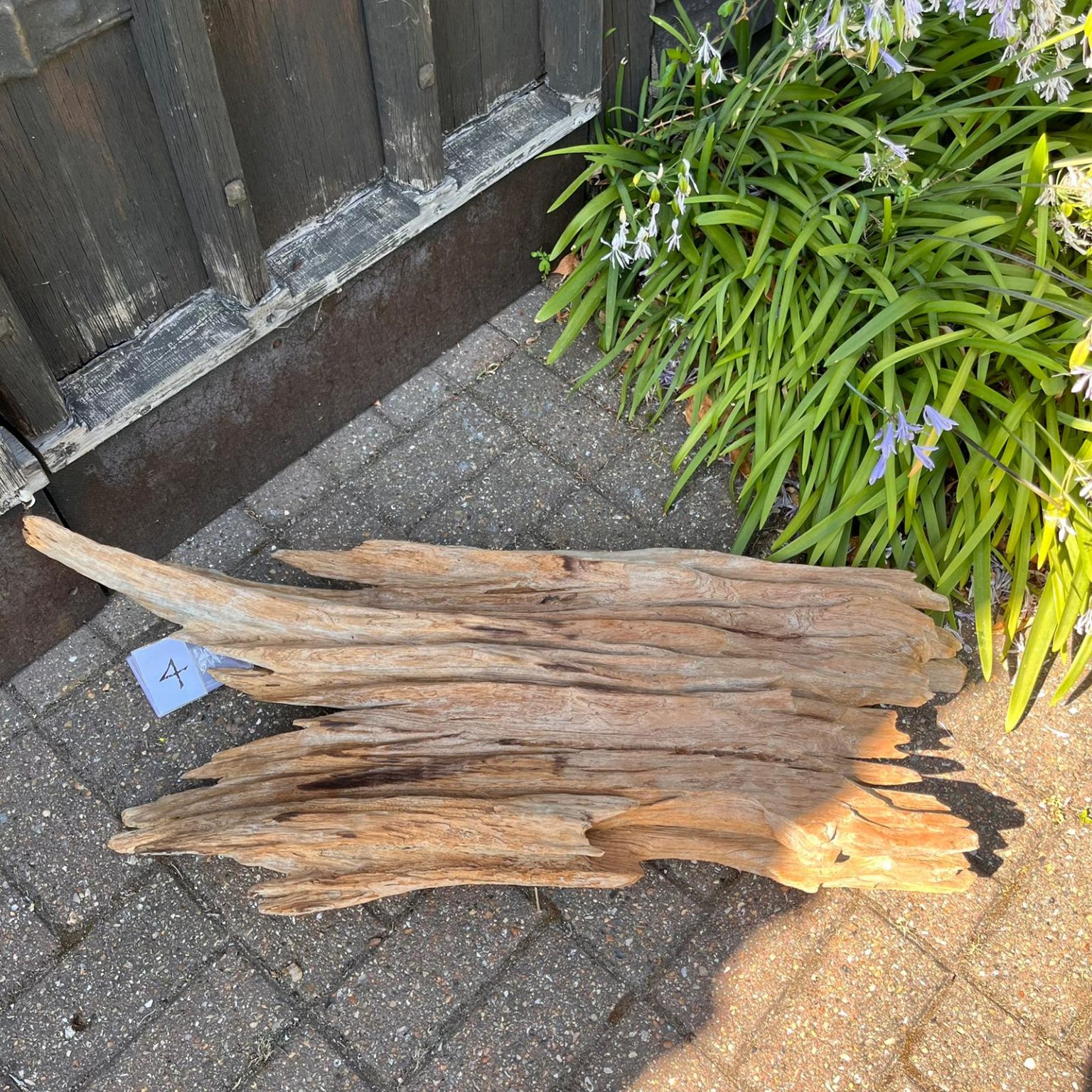 Small Driftwood Sculptures | Rainforest Relics